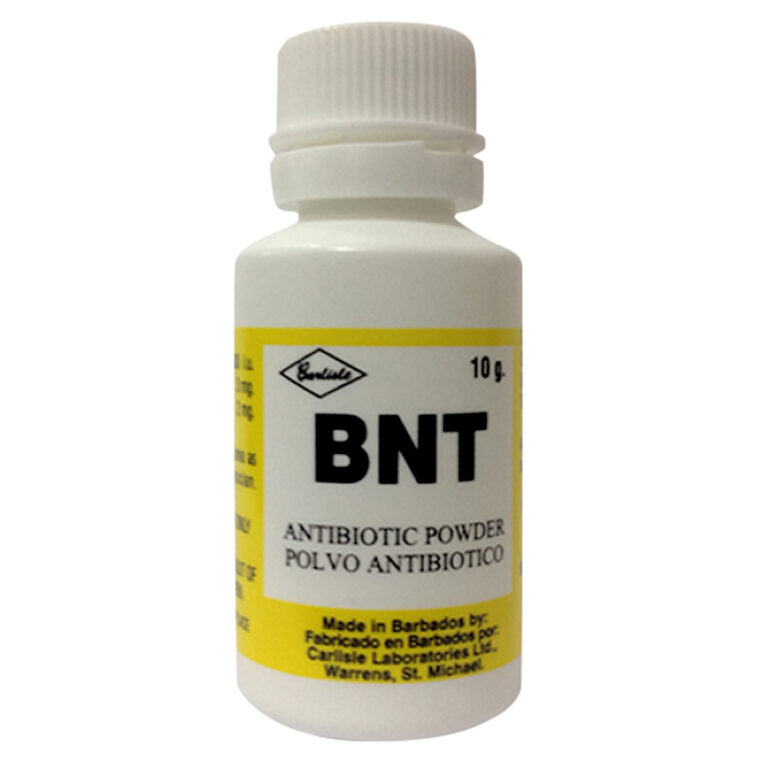 Fight Infections with BNT Antibiotic Powder - Available Here